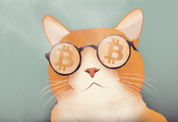 Covenants: wat is OP_CAT? - Bitcoin.nl